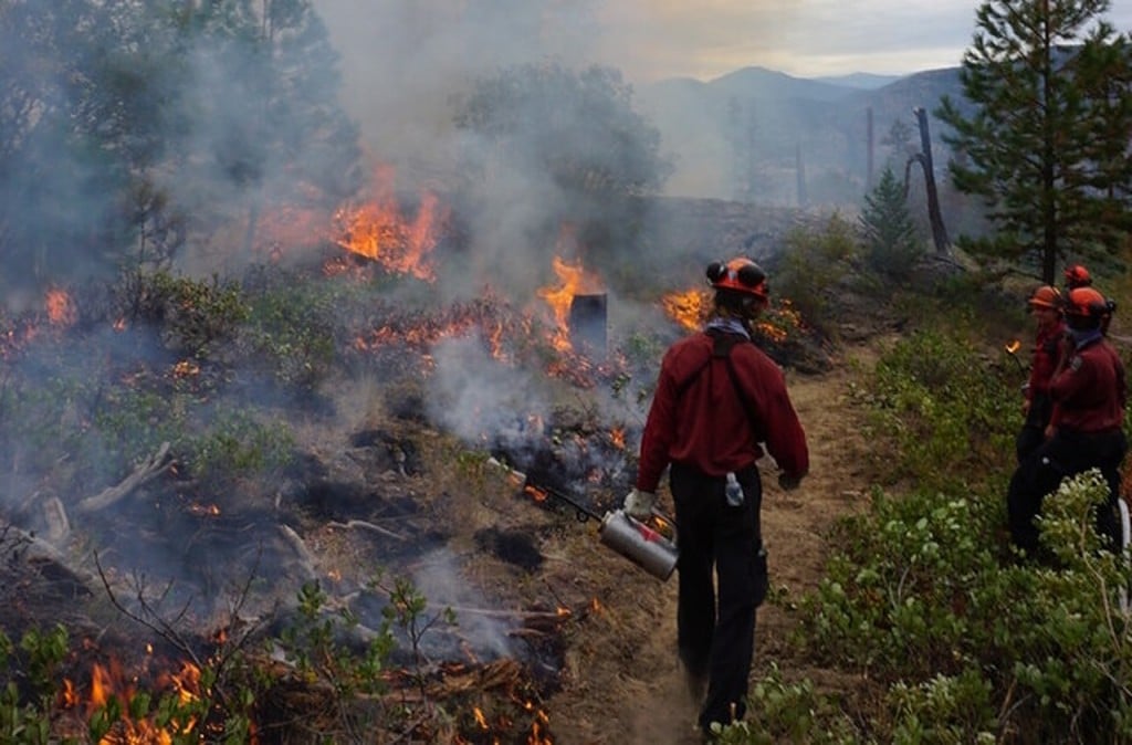 Work to reduce wildfire risk in Northeast B.C.
