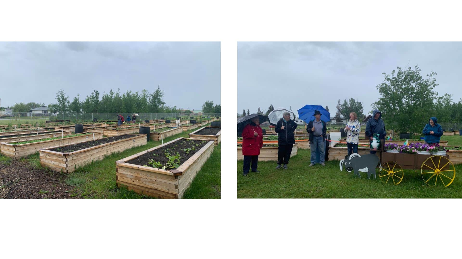 Dr.-Sean-Maurice-5 – Energeticcity.ca