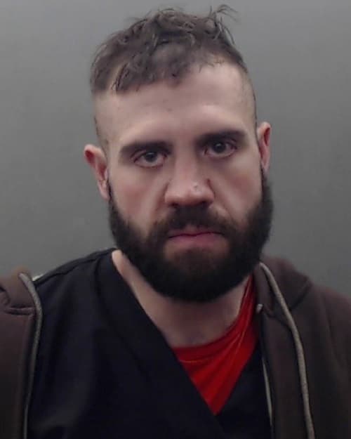 Fort St. John police dog nabs crime spree suspect