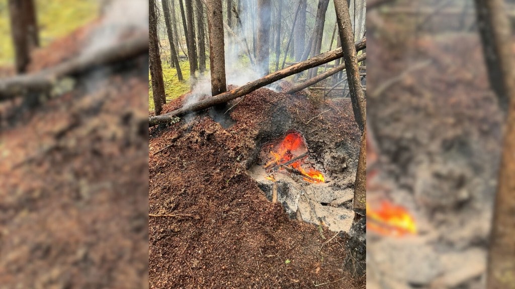 Muskwa River wildfire being held in Donnie Creek Complex