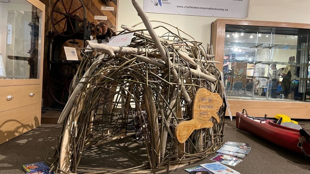 A new exhibit launched displaying Charlie Lake's biodiversity