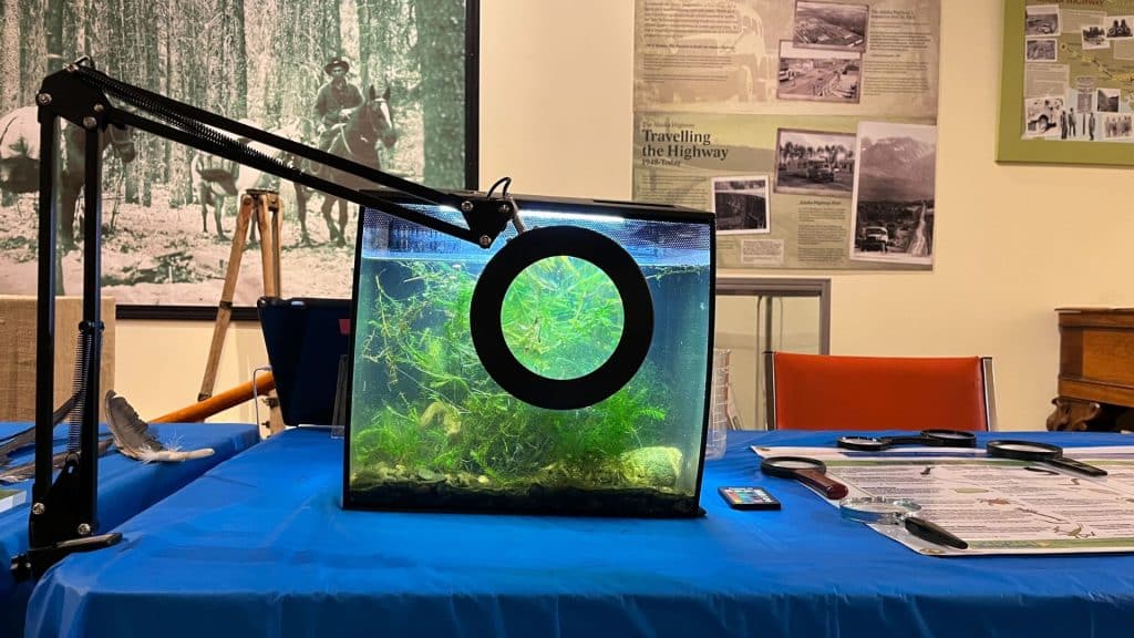 A new exhibit launched displaying Charlie Lake's biodiversity