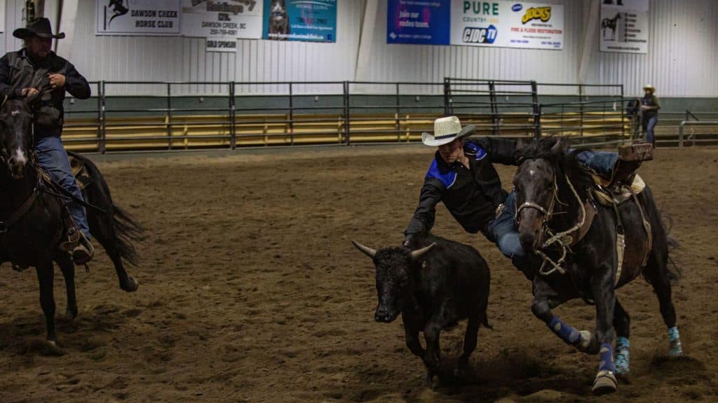 Northern Lights College Intercollegiate Rodeo highlights successes