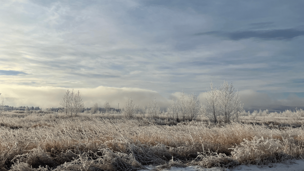 Environment Canada issues extreme cold warning for northeast B.C.