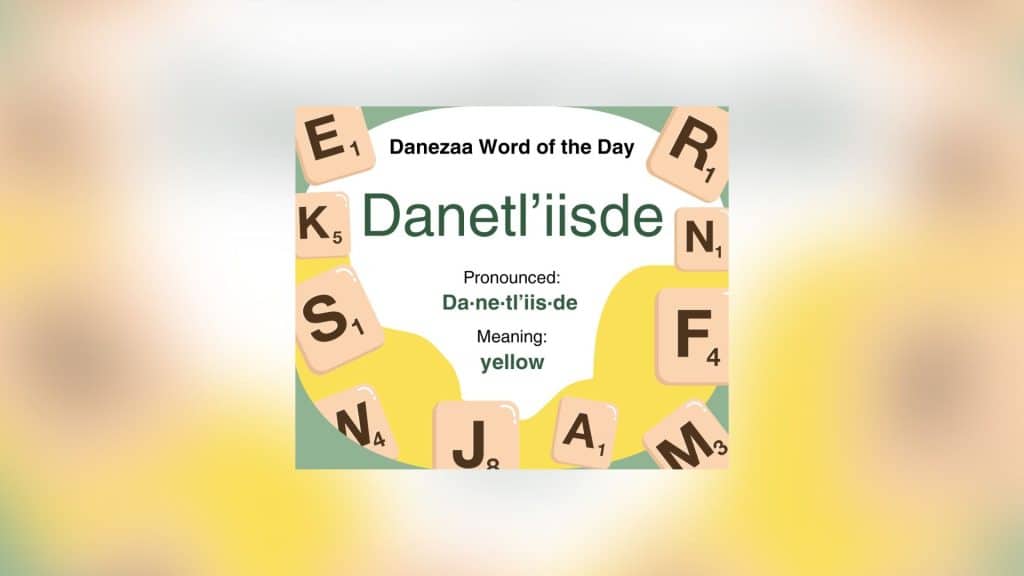 Prophet River First Nation launches Beaver language campaign on Facebook