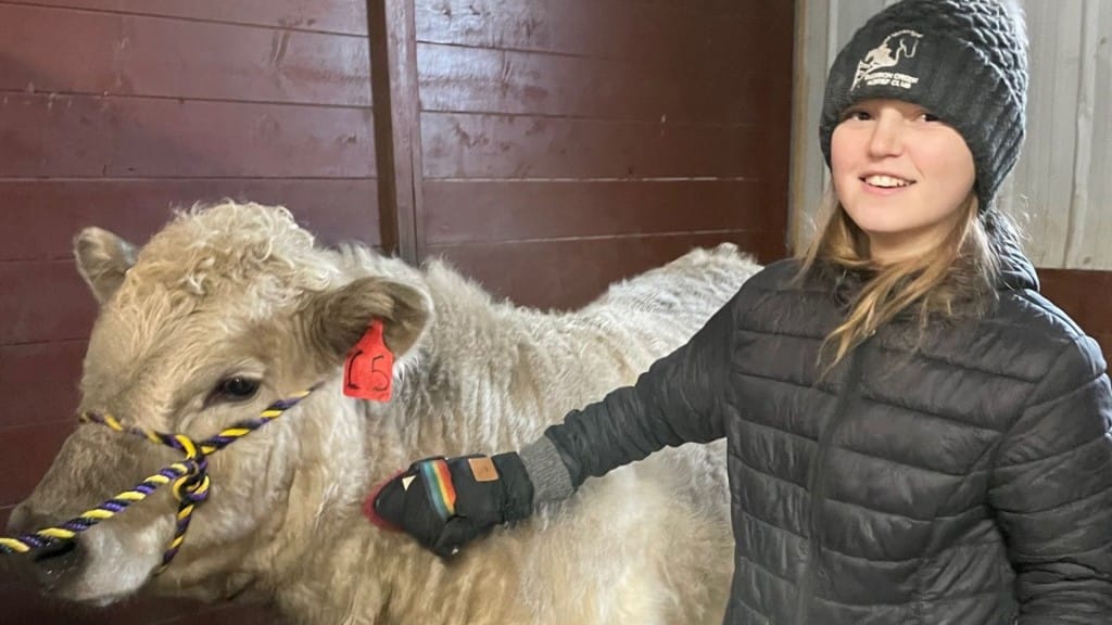 Silver Willow 4-H Report: Communication, meetings and weigh-ins