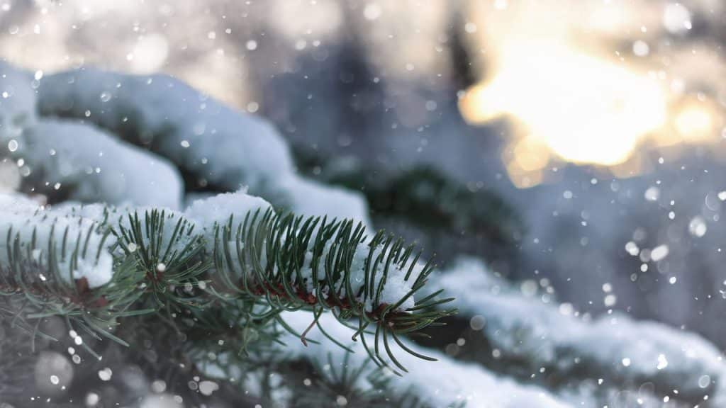 UPDATE: Environment Canada issues special weather statements, snowfall ...